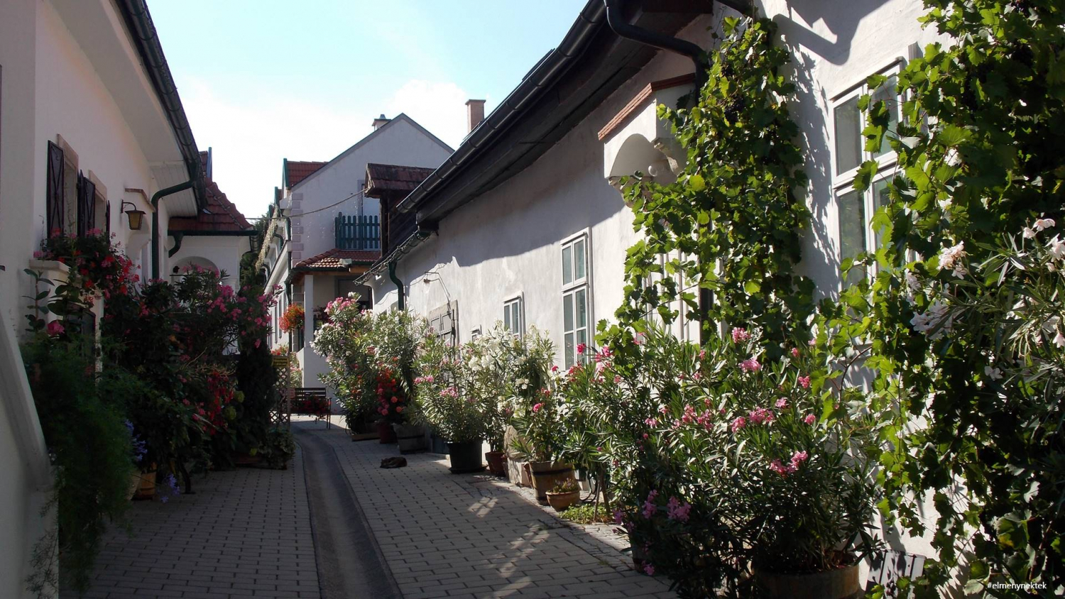 Mörbisch romantikus arca, a Hofgasse - ÉlményNektek