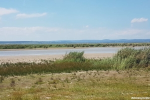 Illmitz (Illmic) Burgenland